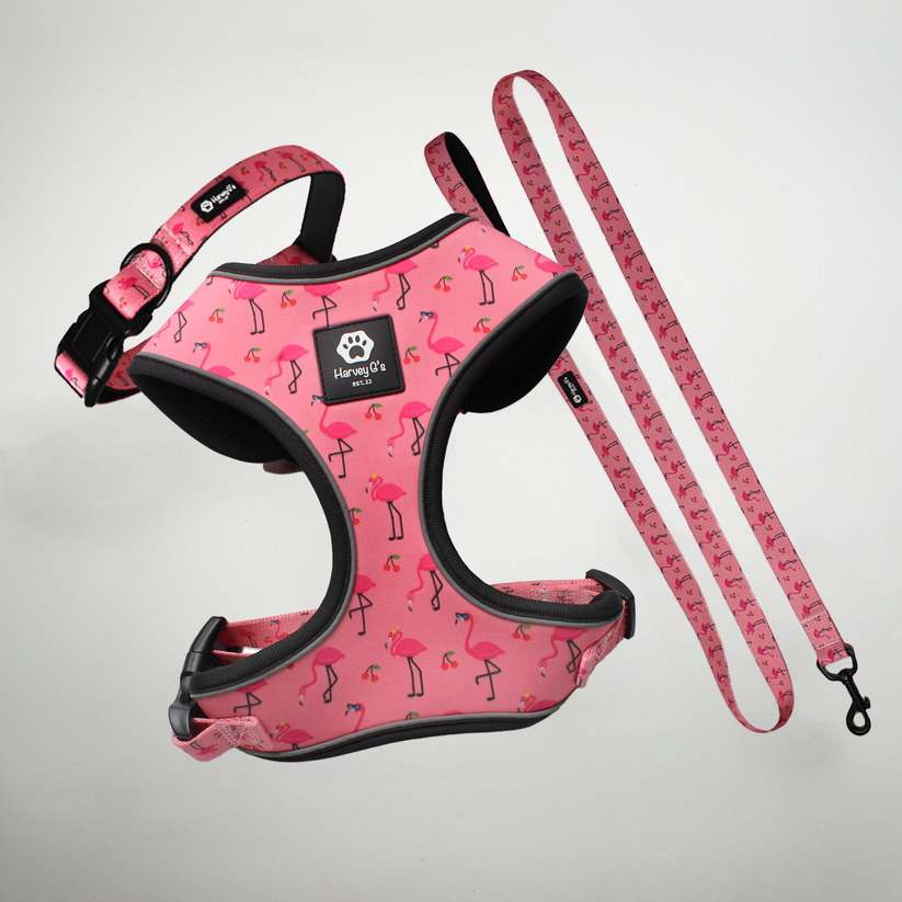 Funky Flamingos Complete Set – Harvey Gs Shop